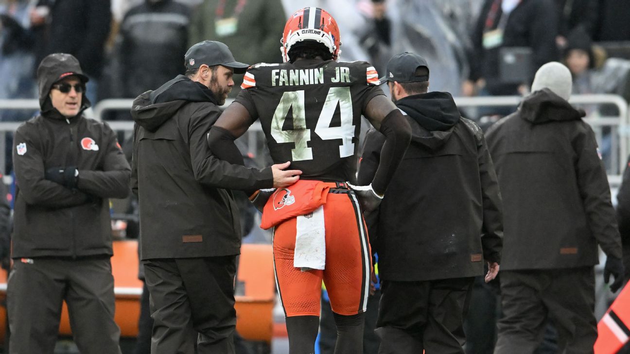 Browns TE Harold Fannin Jr. reinjures groin vs. Steelers – Danspool